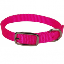 Collars, Harnesses, & Leashes
