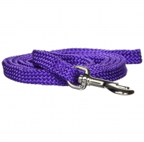 Collars, Harnesses, & Leashes