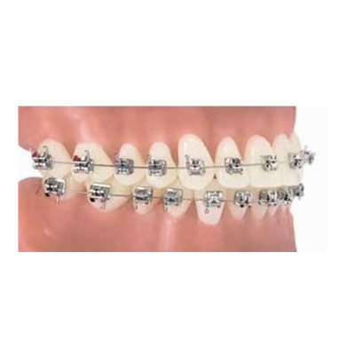Typodont BioQuick Roth System 2.0 Bracket